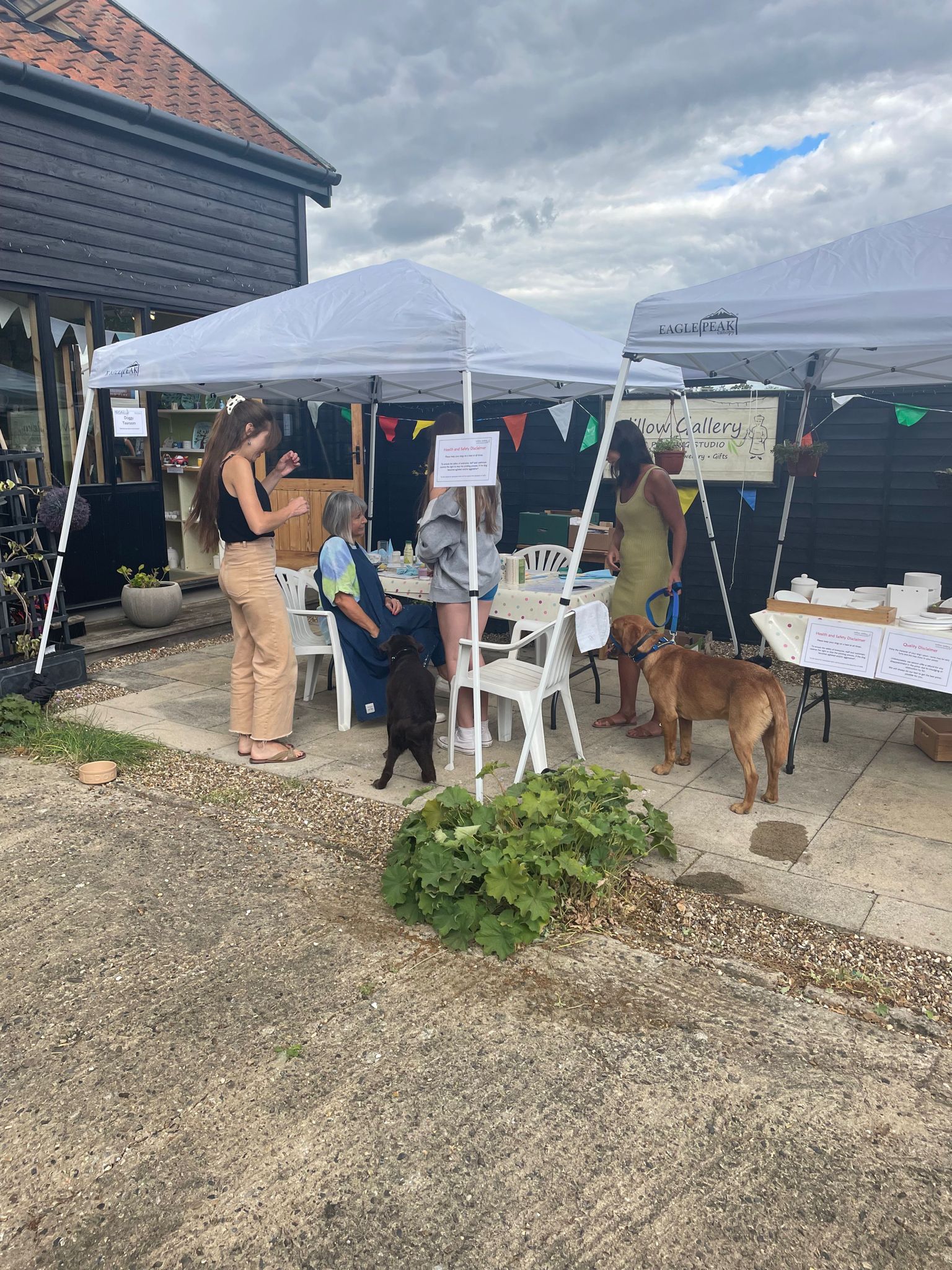 Willow Gallery Ceramic Painting Studio Norfolk – Ceramic Pottery Painting